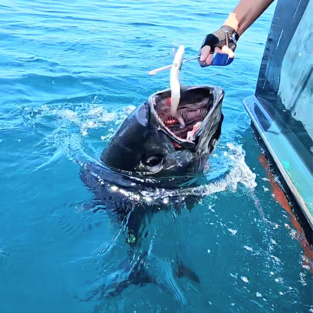 About Us – Jigging World